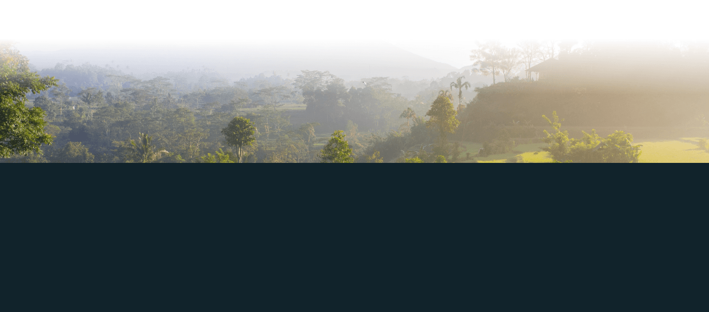 Apa Itu Nikel dan Dampaknya dalam Transisi Energi